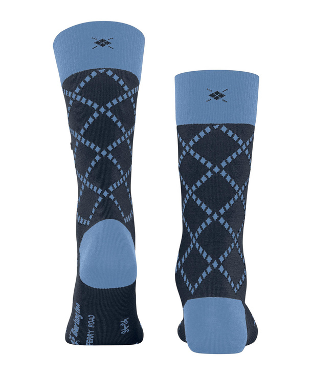 Ferry Road Men Socks (Blue)